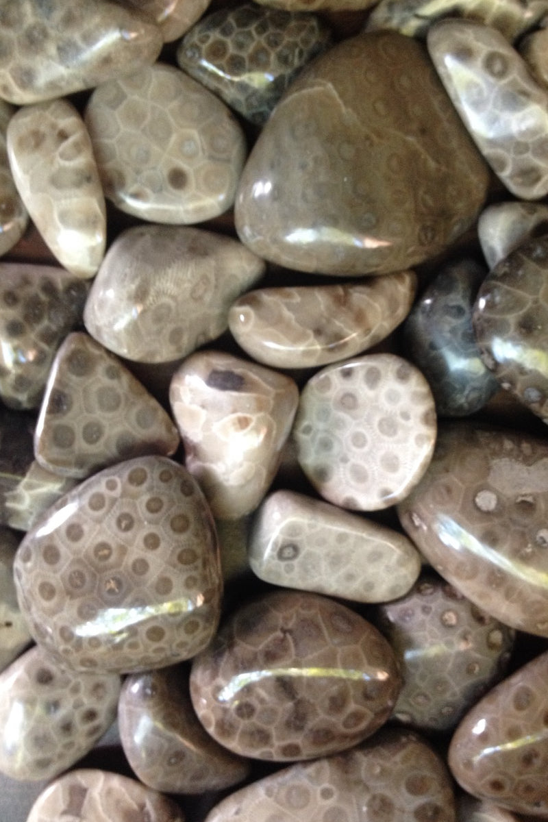 The Petoskey Stone Shop