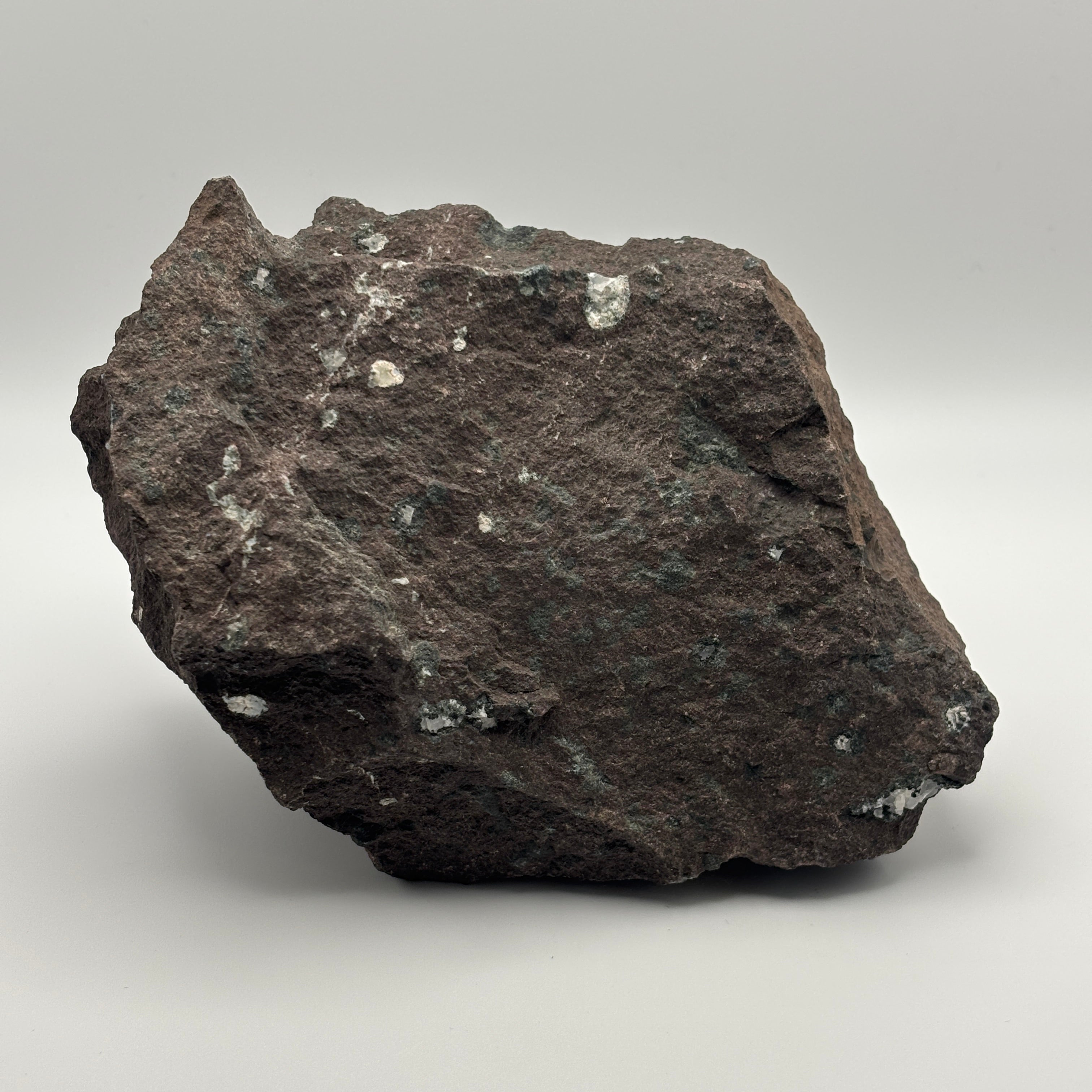 Isle Royale Greenstone in Basalt Matrix – The Petoskey Stone Shop