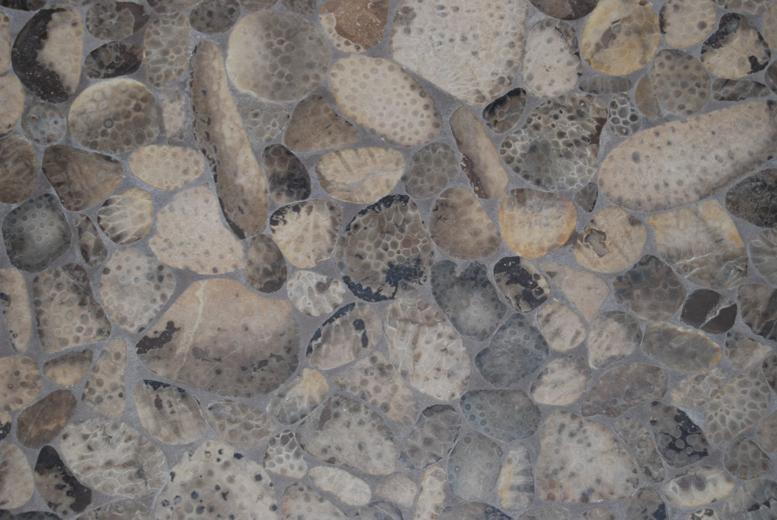 The Petoskey Stone Shop